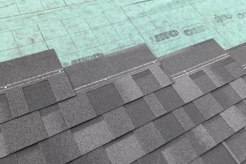 Shingles on tiny houses: what are the possibilities| IKO
